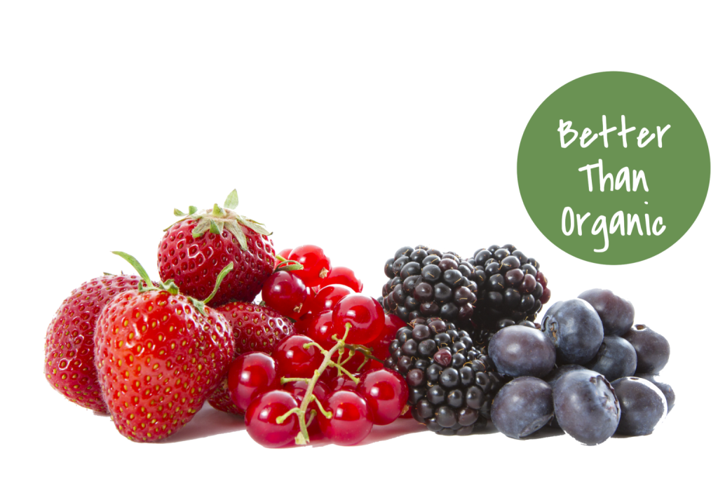 HB Farms – Let's Taste The Best